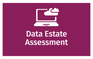 Data Estate Assessment