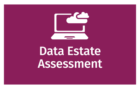 Data Estate Assessment